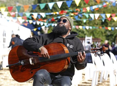 Contact - Festival Enterprise Catalyst